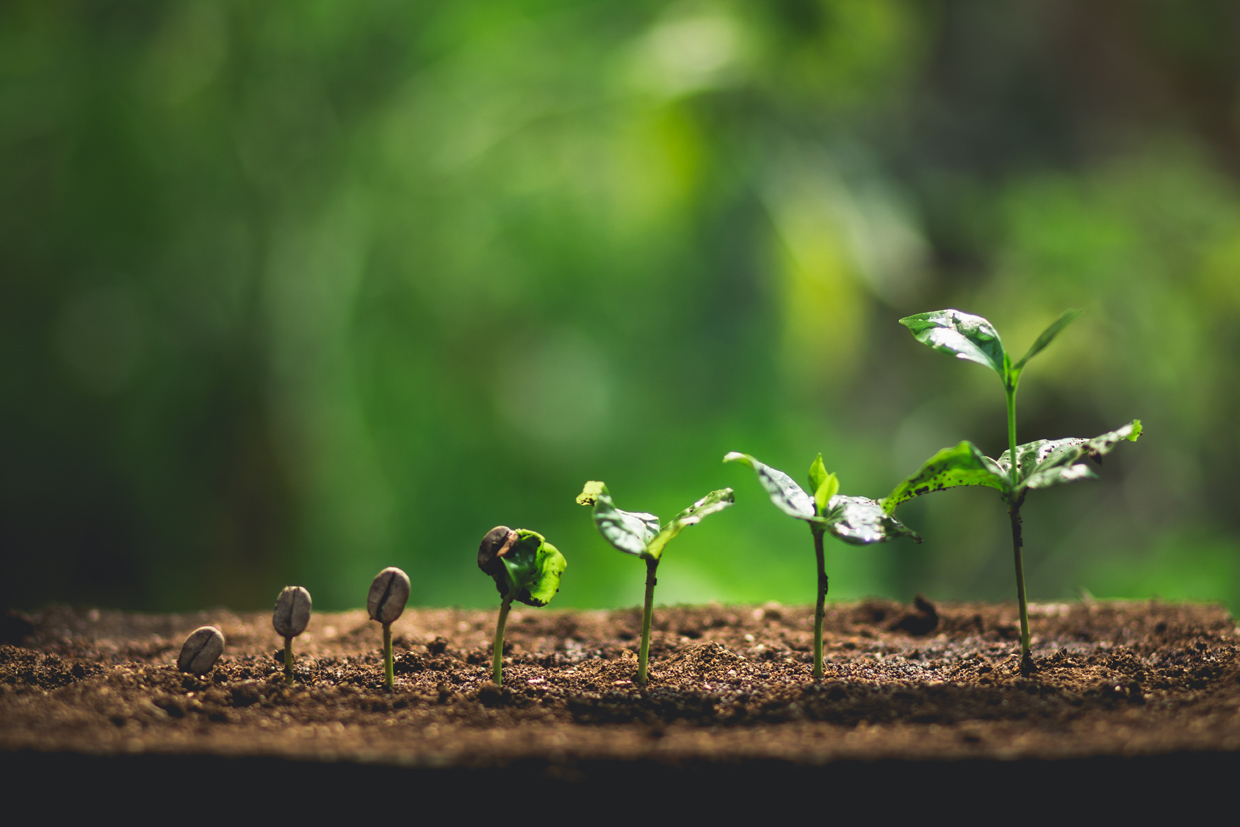 IFRS Foundation Publishes Sustainability Reporting Consultation Paper